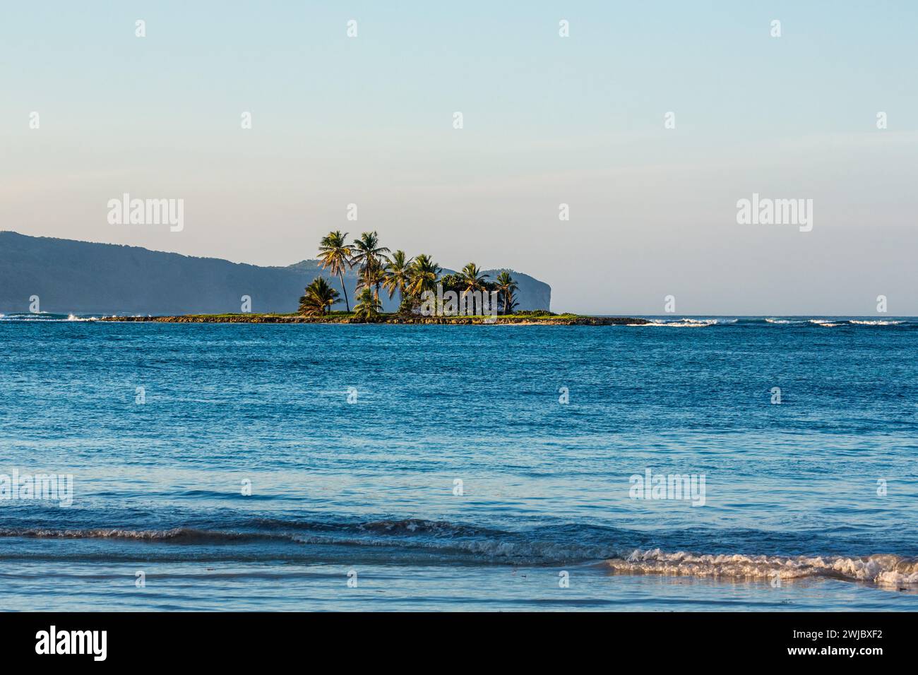 Coconut palm trees on a small island in the Bahia de Las Galeras on the ...