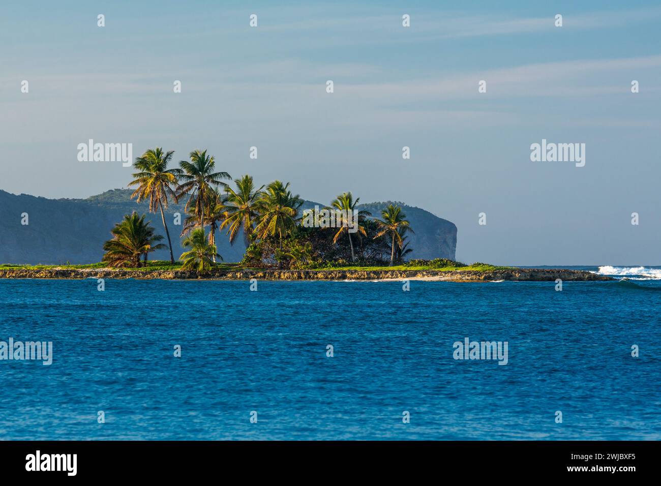 Coconut palm trees on a small island in the Bahia de Las Galeras on the ...