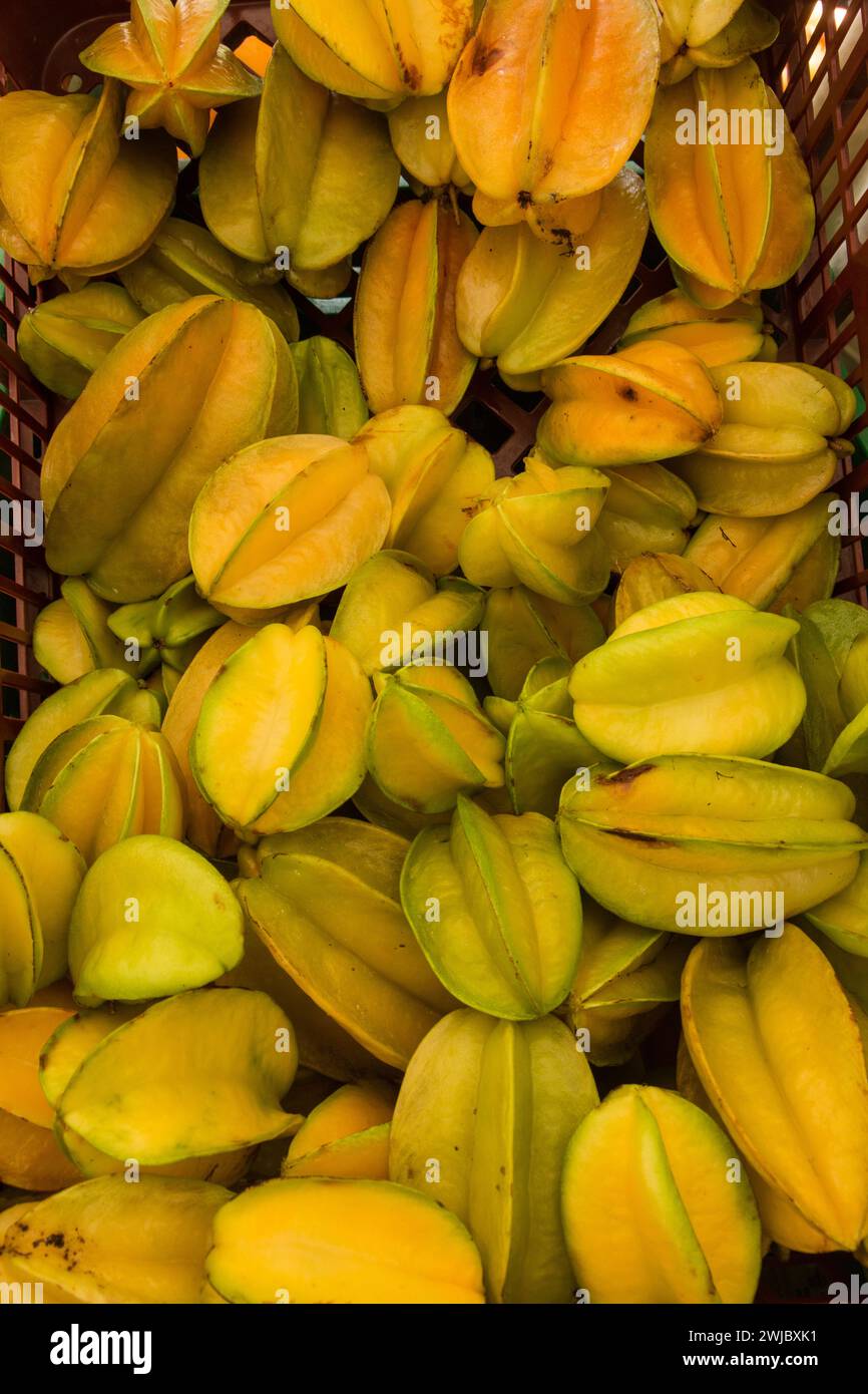 Mango expo hi-res stock photography and images - Alamy