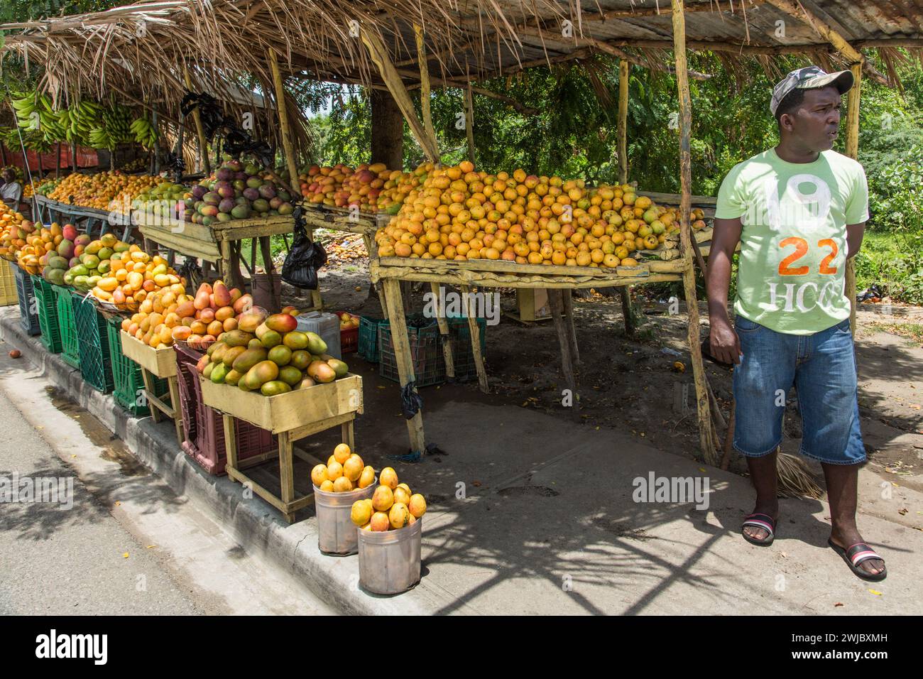 A man selling mangos at a roadside fruit stand in Bani, Dominican ...