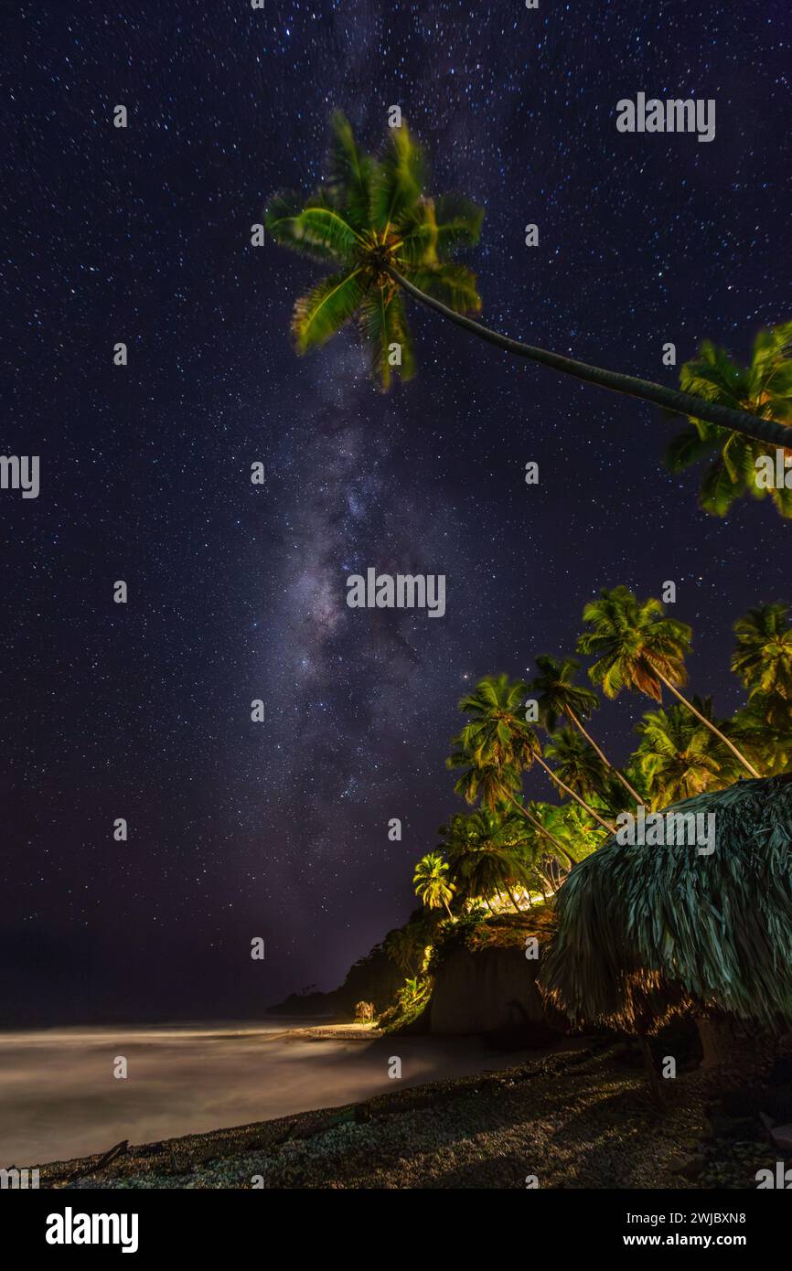 The Milky Way and palm trees at night, Dominican Republic.. The palms ...