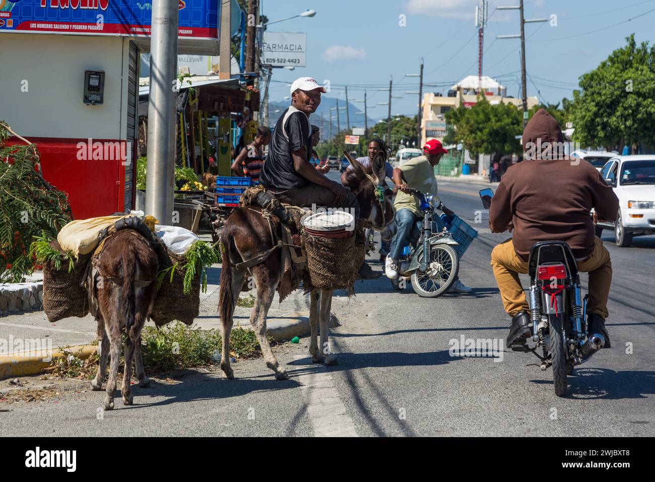 A man rides a burro while leading another loaded burro on the road near ...