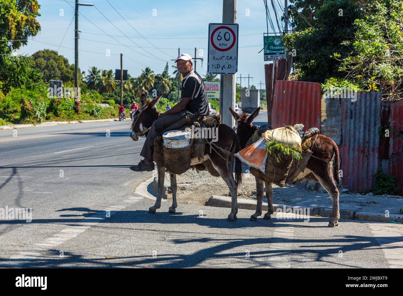 A man rides a burro while leading another loaded burro on the road near ...