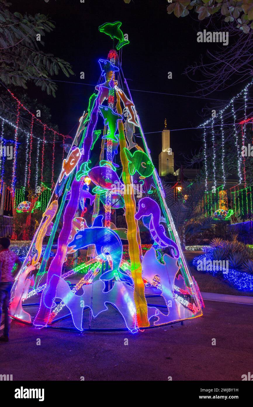 Millions of Christmas lights decorate the Ibero-American Park in Santo ...