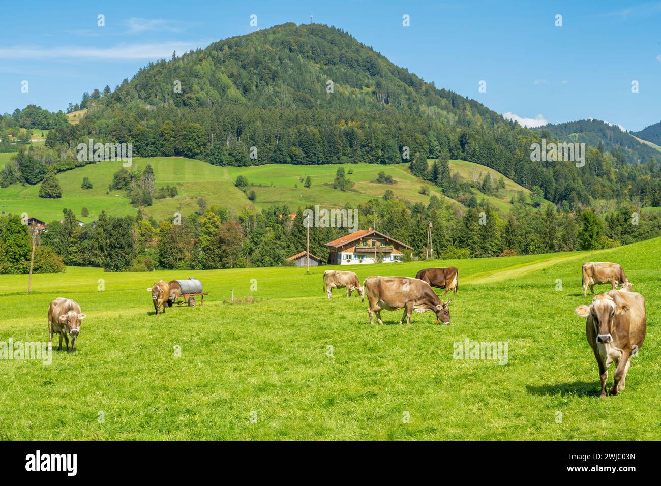 Farmland to the bavarian alps hi-res stock photography and images - Alamy