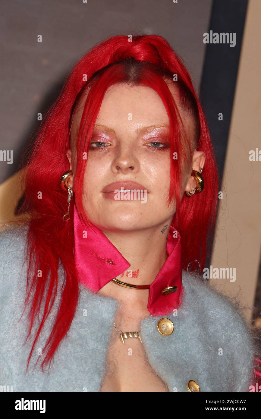 Faangs 02/13/2024 The Los Angeles Premiere of "This is Me…Now: A Love ...