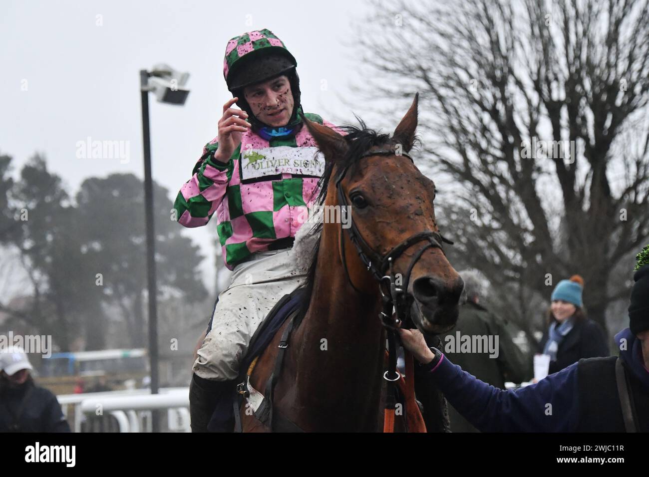 Fontwell, UK. 14th February 2024, How and Ever, ridden by Gavin Sheehan ...