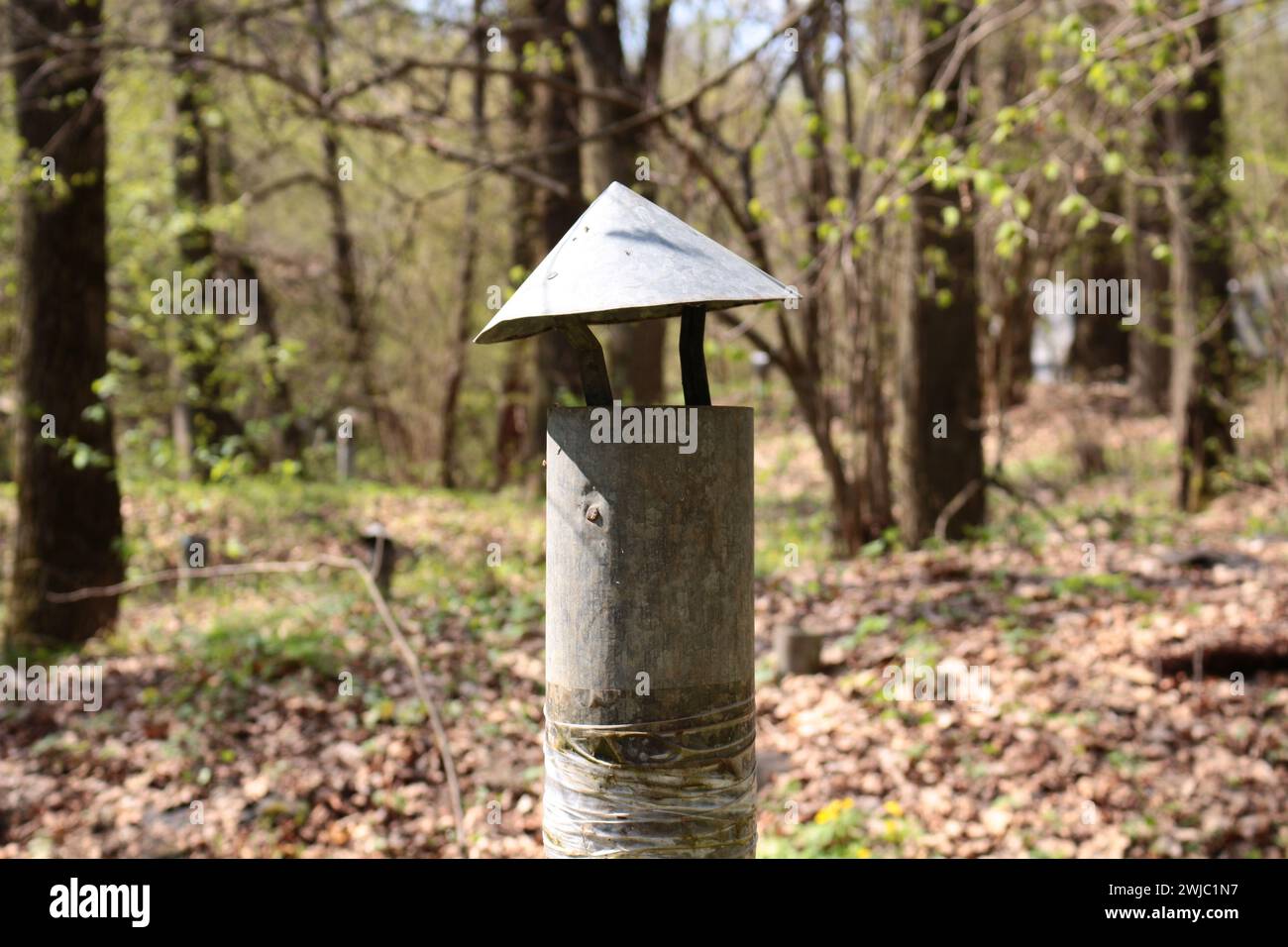 Pipe for ventilation of an underground cellar for storing vegetables ...