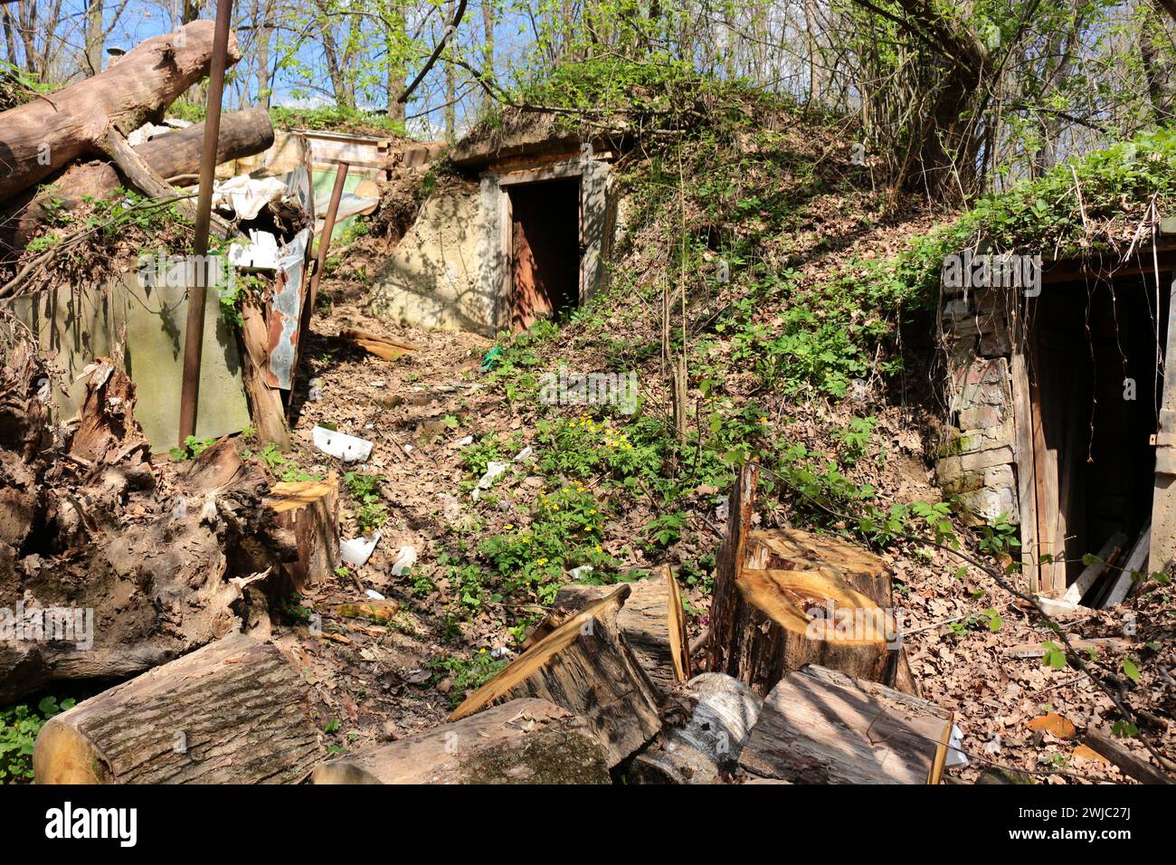 Old abandoned cellars for storing vegetables in an overgrown area Stock ...