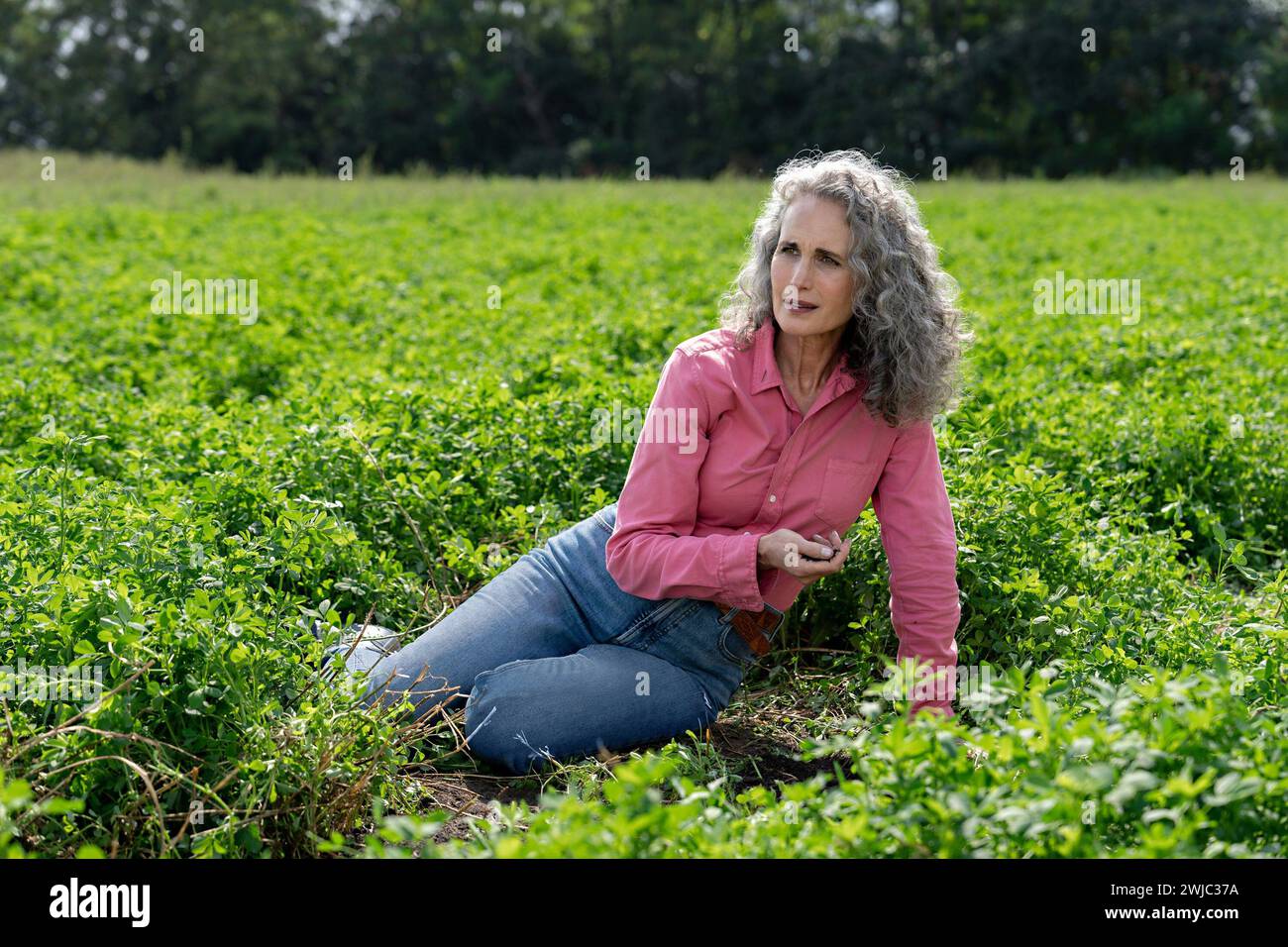 THE WAY HOME, Andie MacDowell, Hanging by a Moment', (Season 2, ep. 202 ...