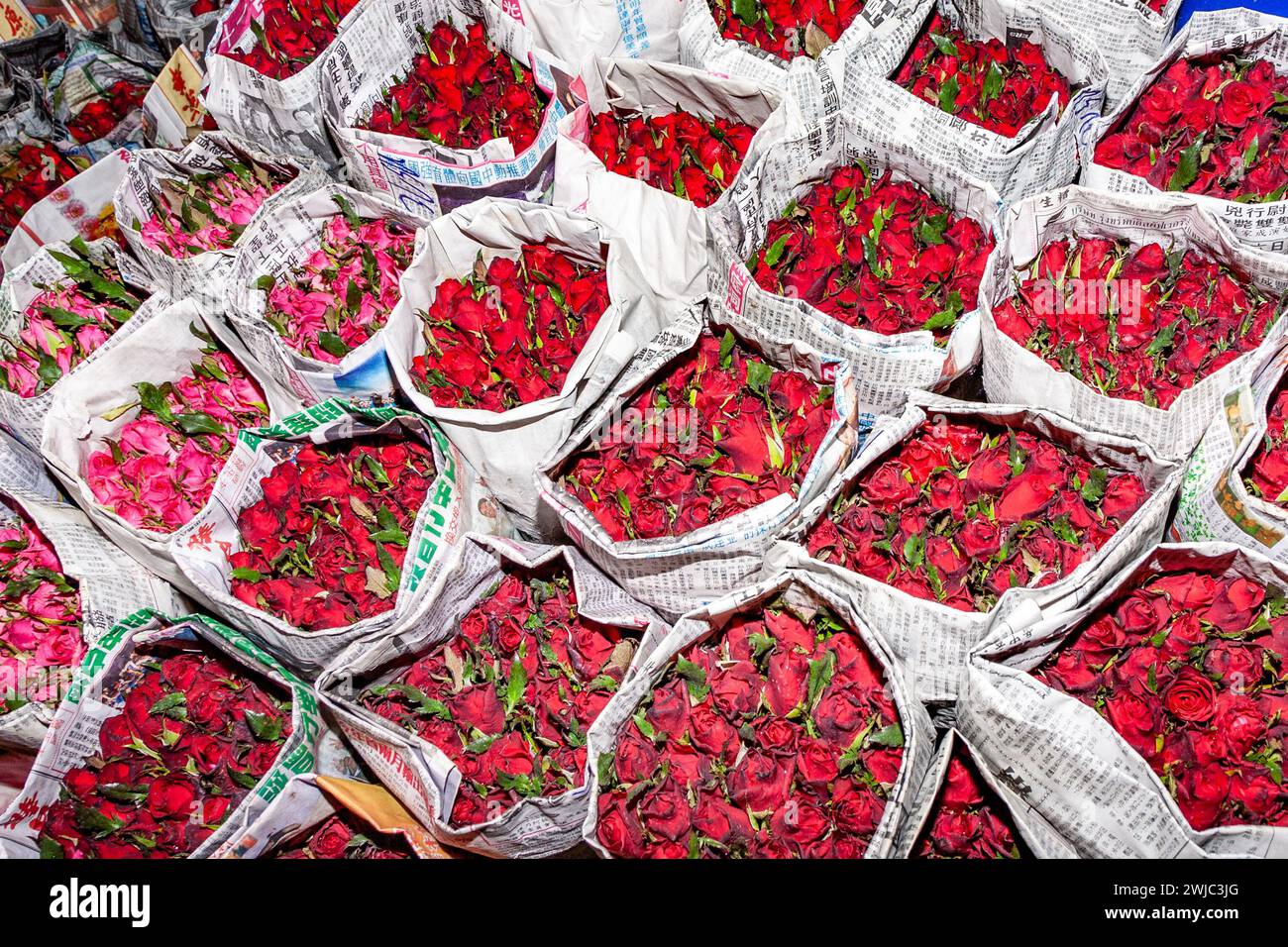 Bangkok, Thailand - December 22, 2009: fresh red roses are offered ...