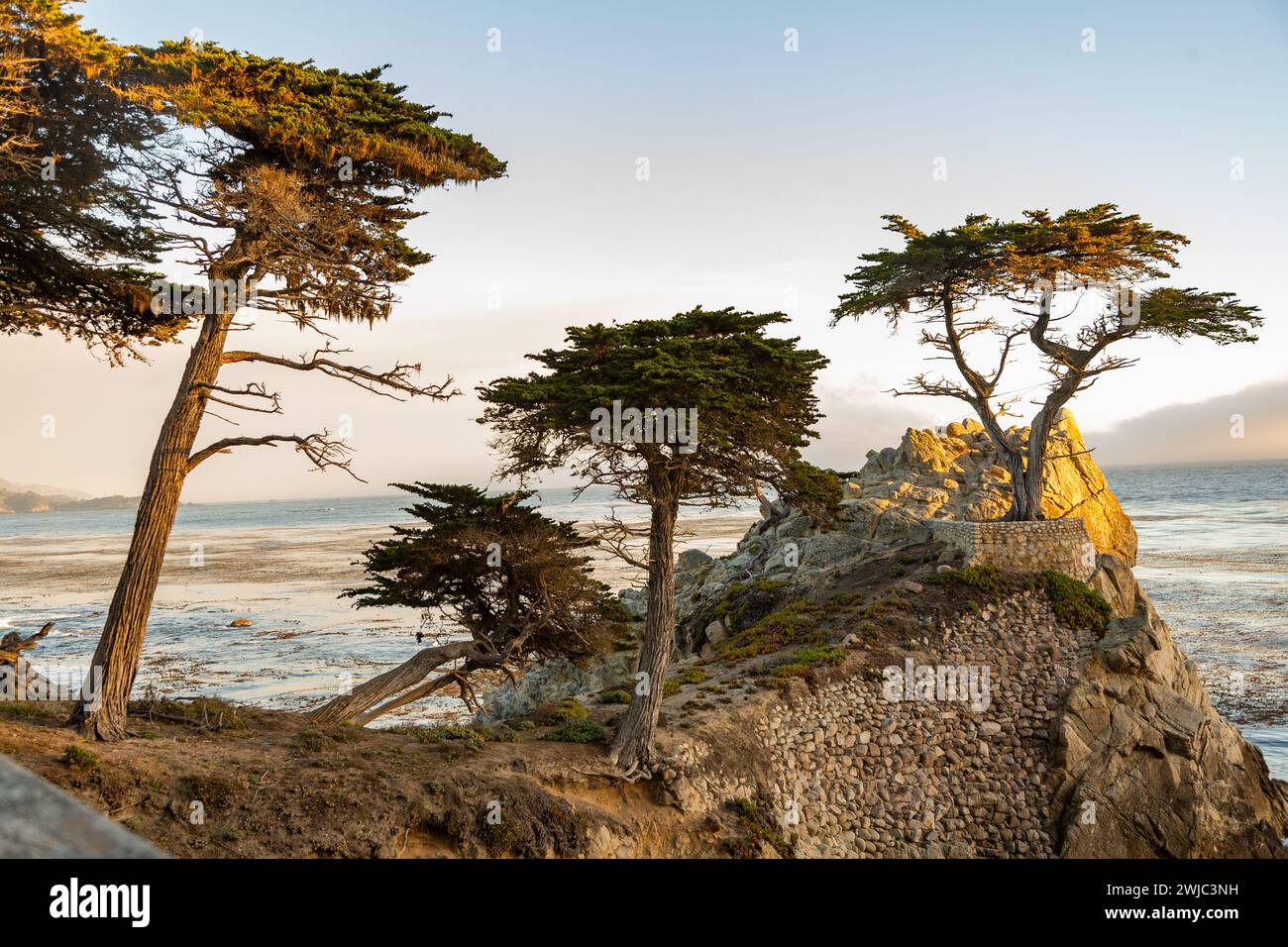 Pebble Beach, USA - July 26, 2008: to coast at Pebble beach and Lone ...