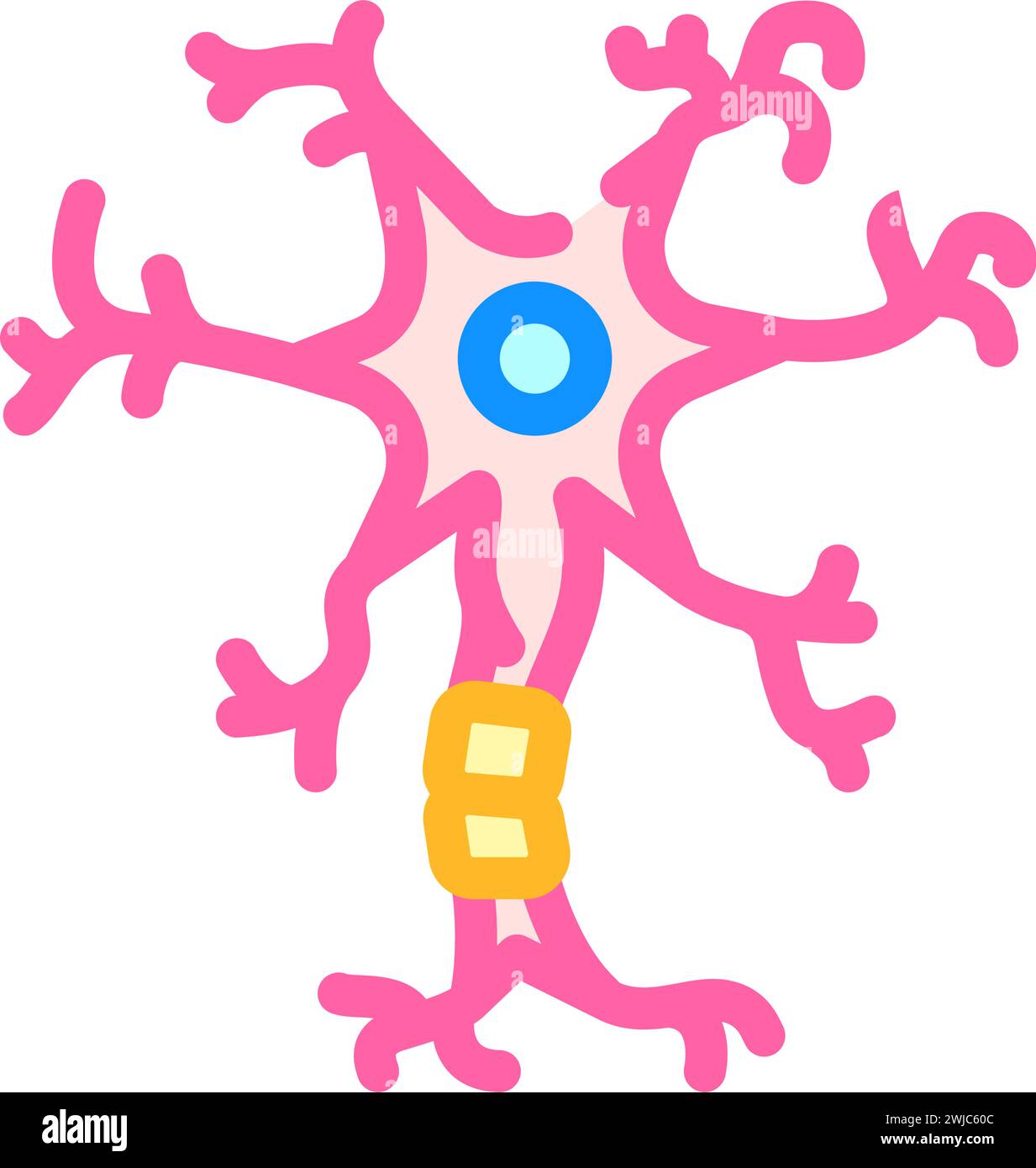 neuron structure neuroscience neurology color icon vector illustration ...