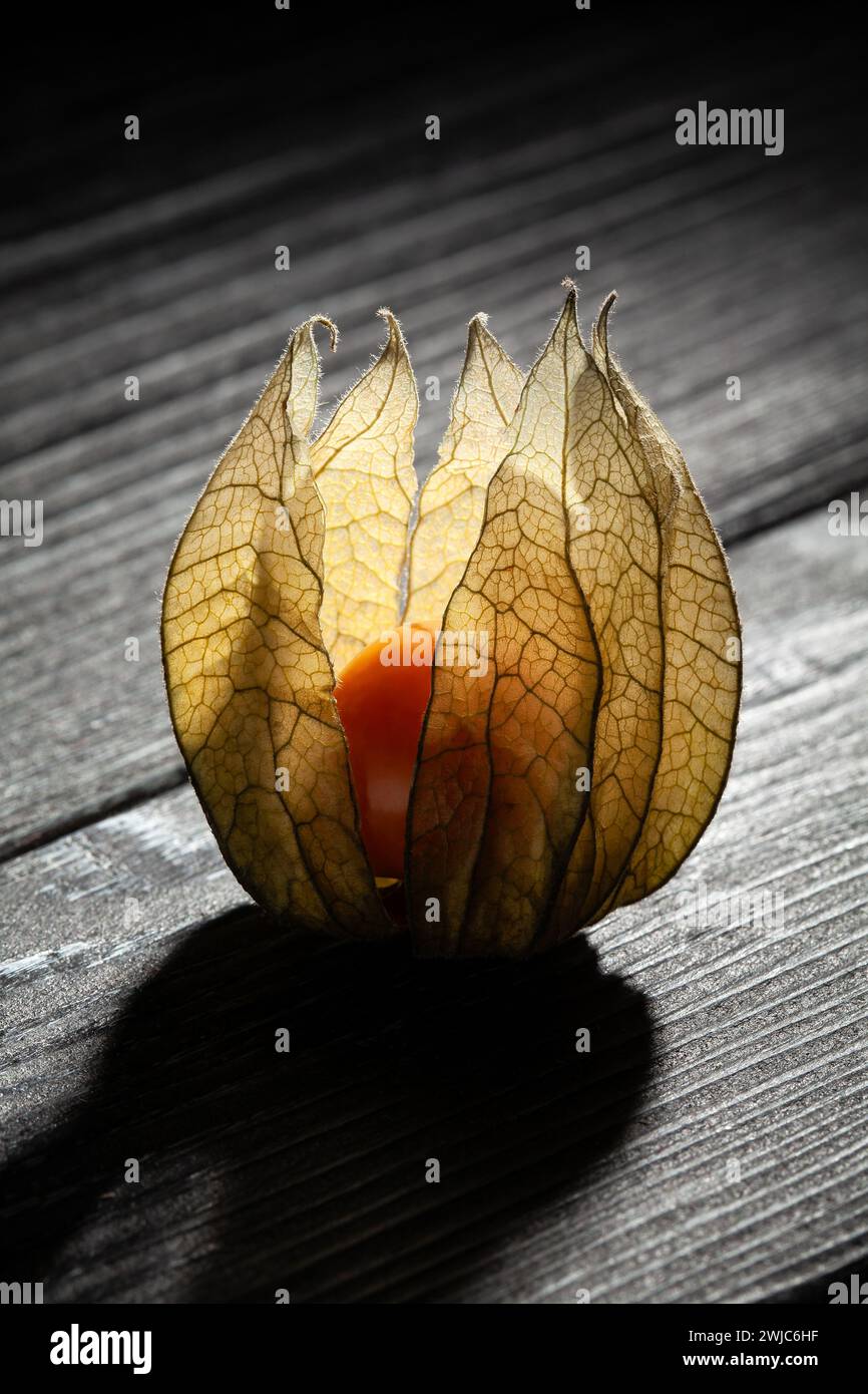 Physalis on the wood hi-res stock photography and images - Alamy