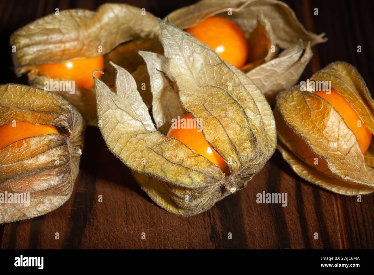 Physalis on brown hi-res stock photography and images - Alamy