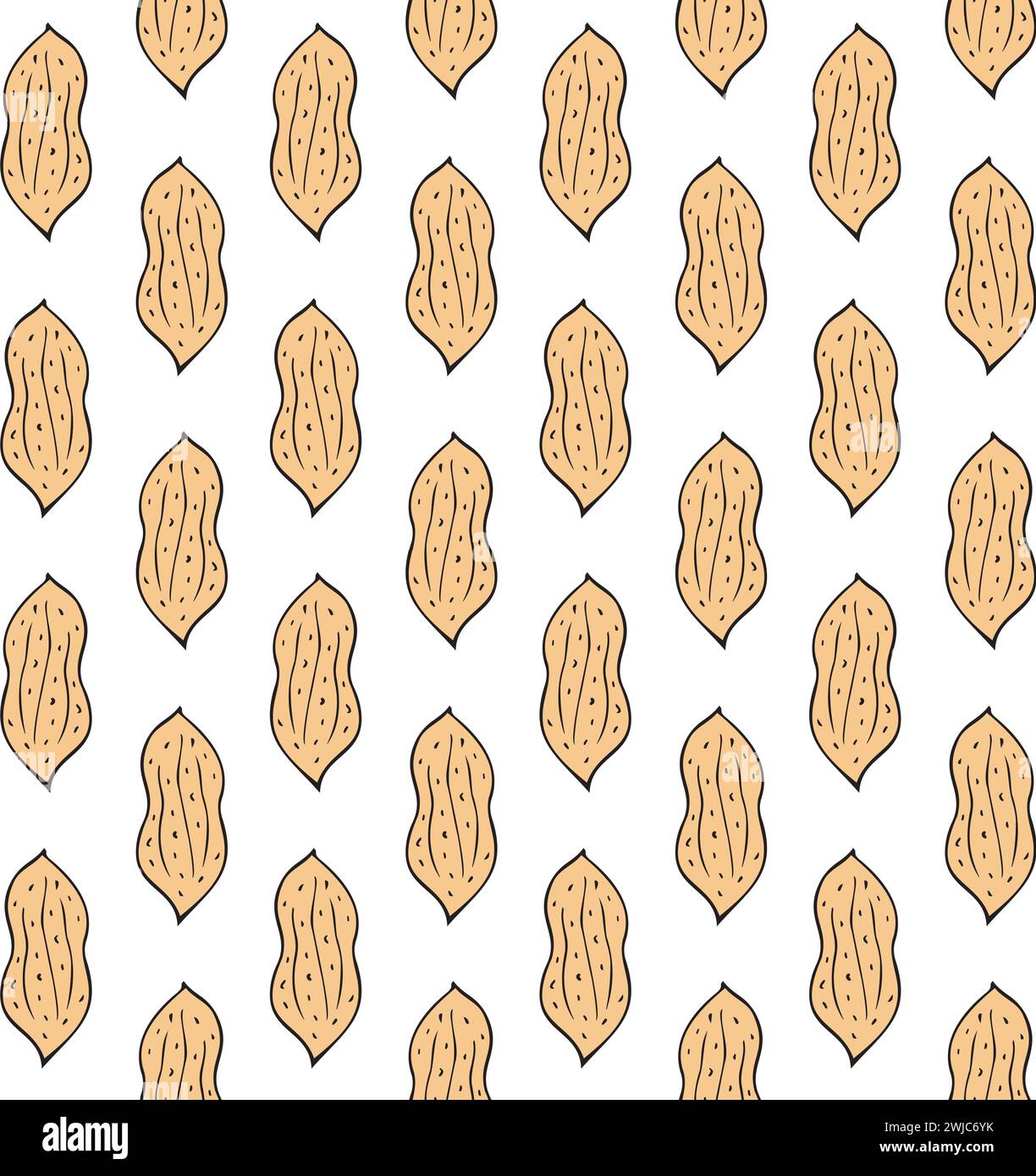 Vector seamless pattern of hand drawn doodle sketch colored peanut nut ...