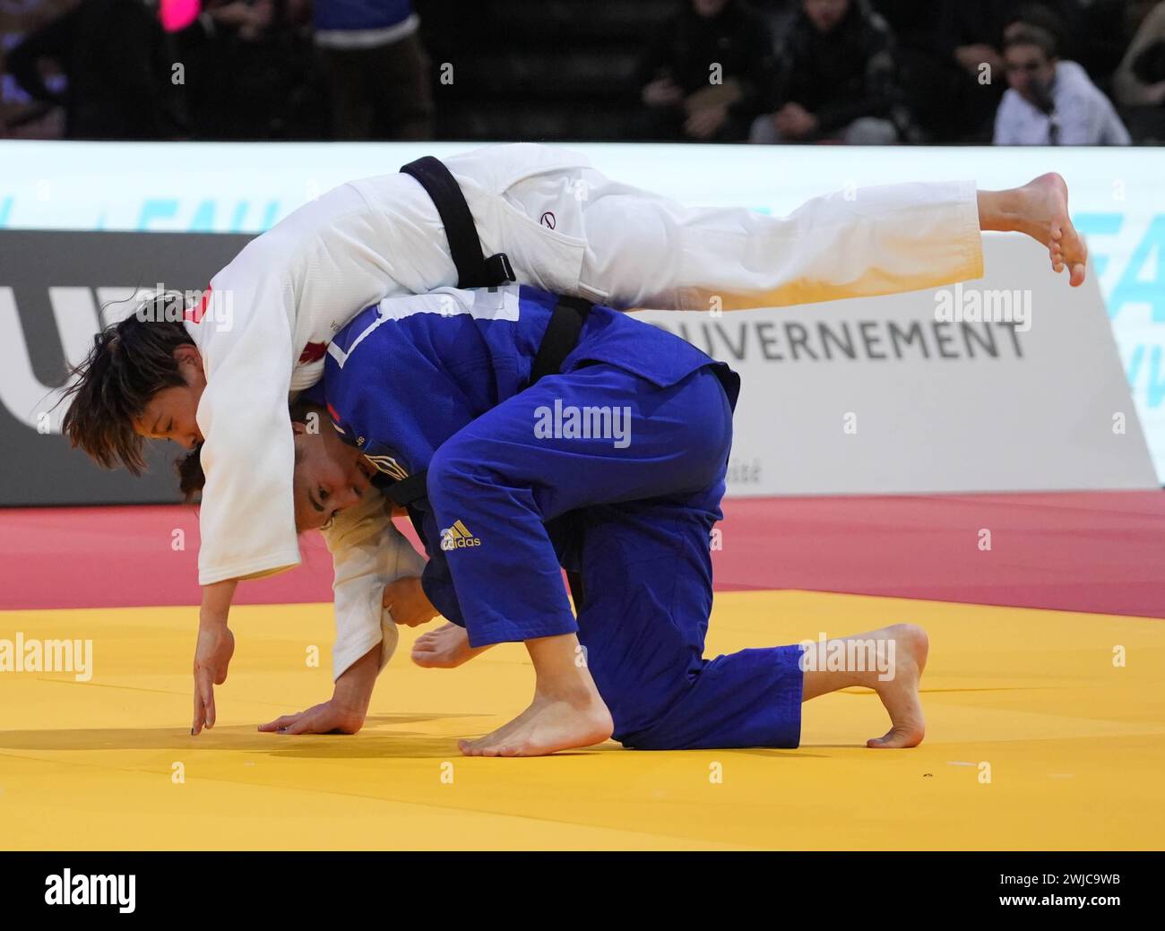 Christa deguchi hi-res stock photography and images - Alamy