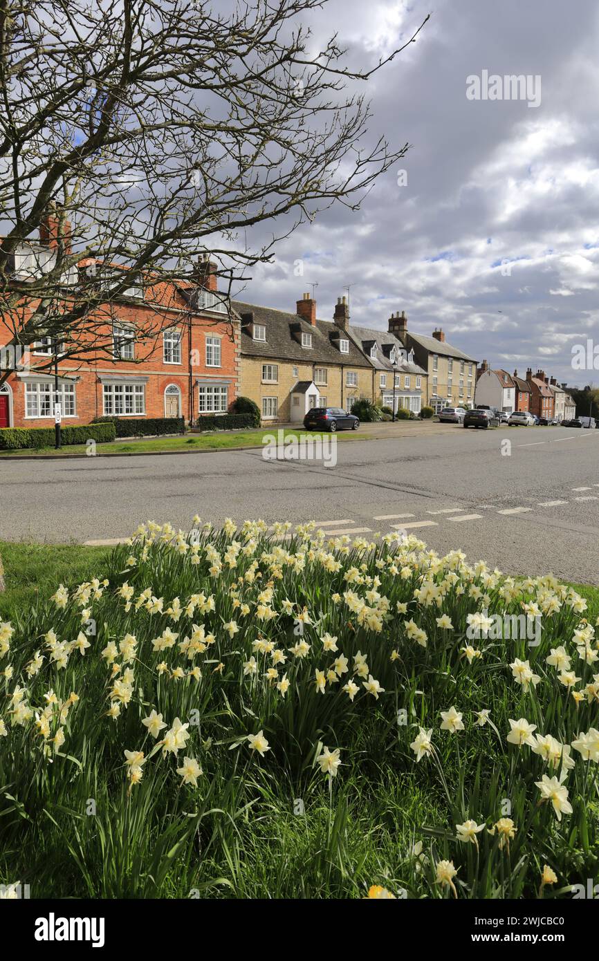 Spring Daffodils around the buildings of Folkingham village green ...