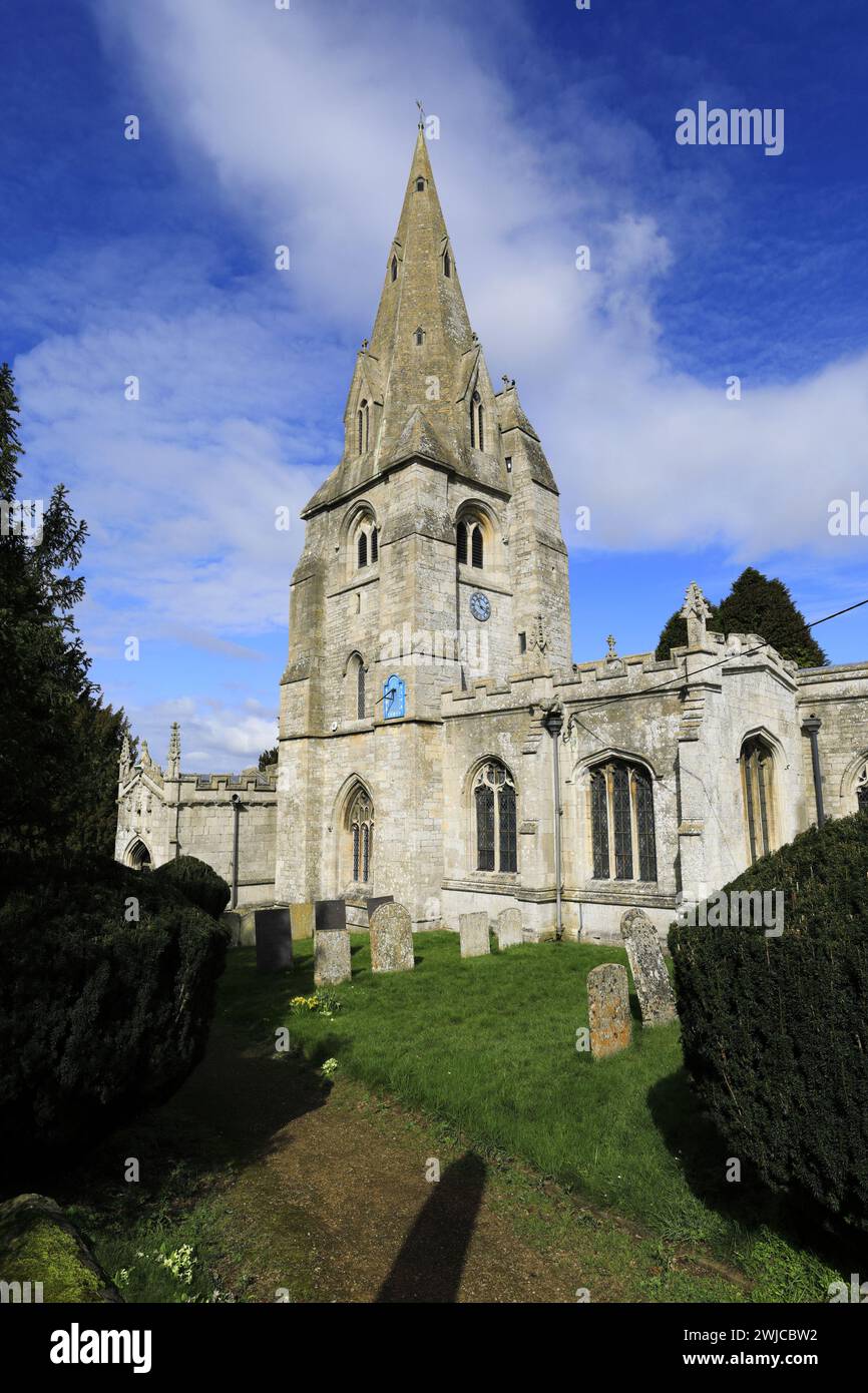 Spring Daffodils, St Johns church, Buckminster village; Leicestershire ...
