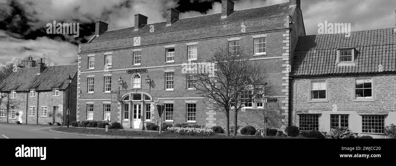 Spring Daffodils around the buildings of Folkingham village green ...