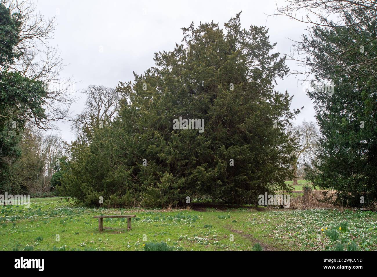 Carta circular hi-res stock photography and images - Alamy