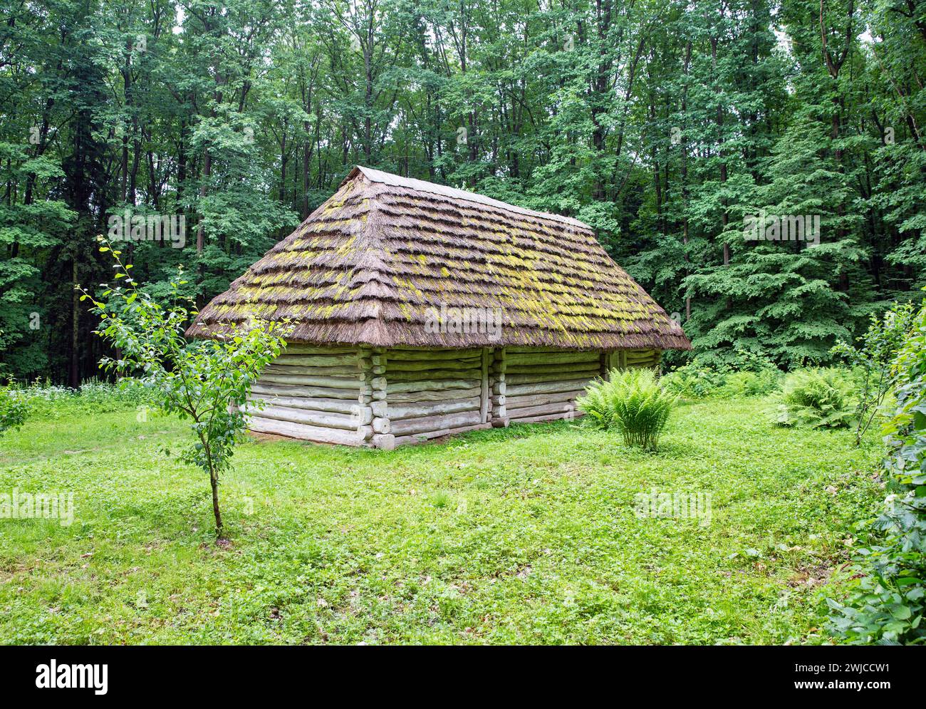 Wooden ethnic house with thatched roof in Museum of folk architecture ...