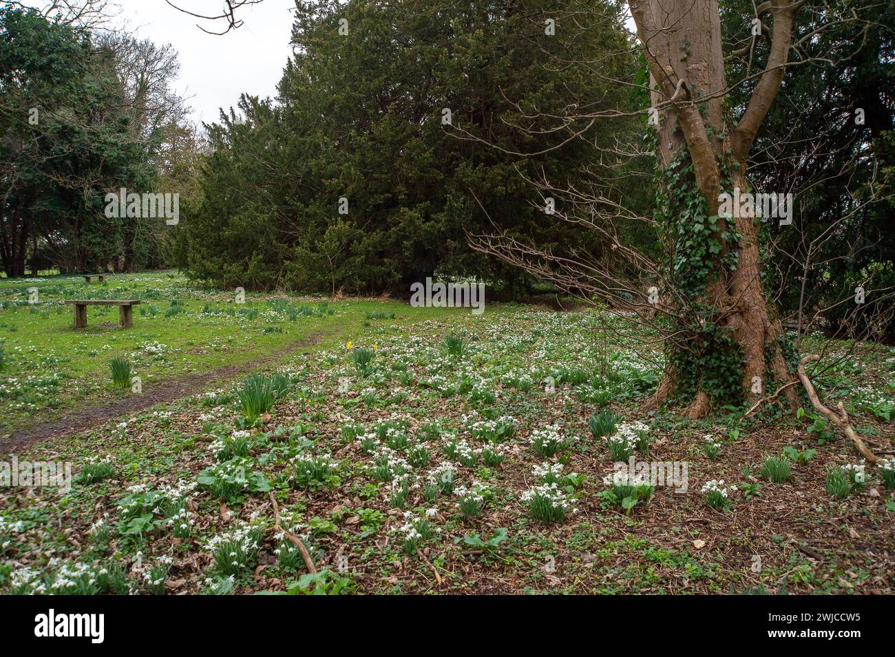Professor alice roberts hi-res stock photography and images - Alamy