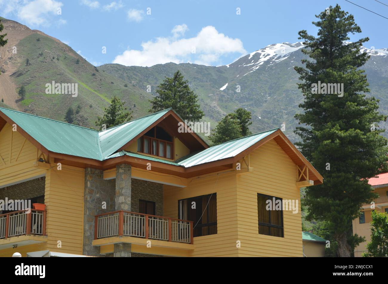 Pinus tree in subalpine zone hi-res stock photography and images - Alamy