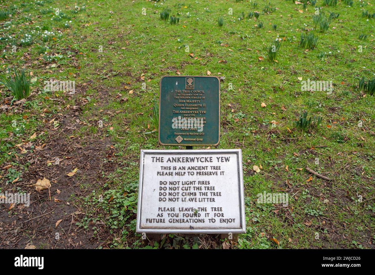 Professor alice roberts hi-res stock photography and images - Alamy