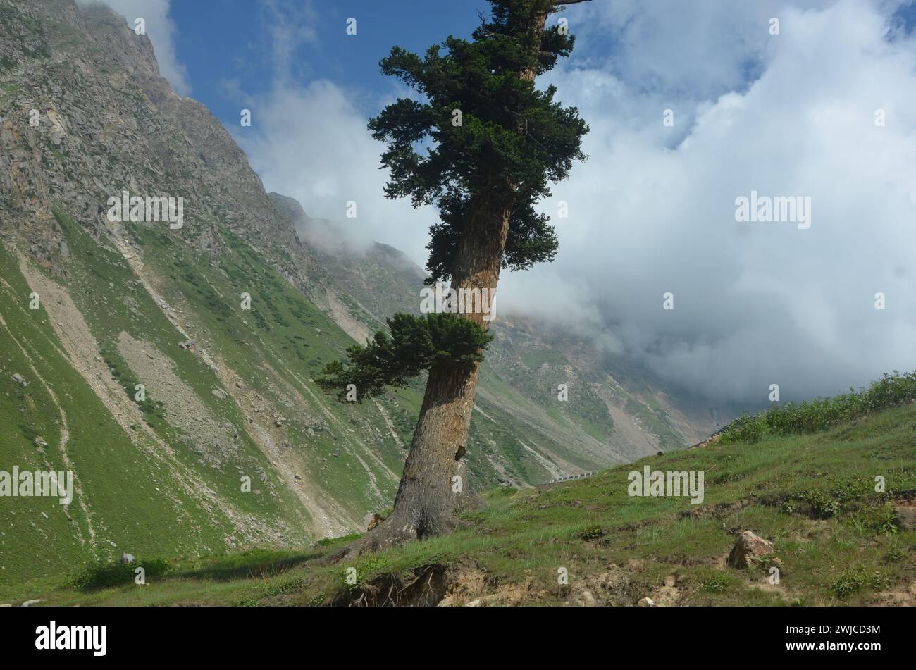 Naran kaghan beautiful places hi-res stock photography and images - Alamy