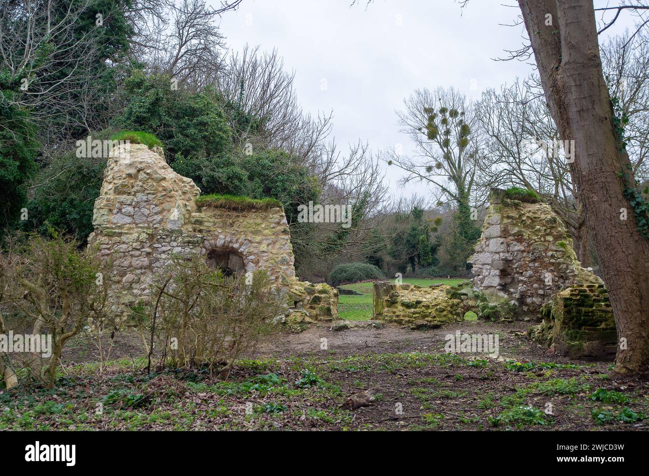 Wraysbury, UK. 14th February, 2024. Snowdrops are carpeting the ...