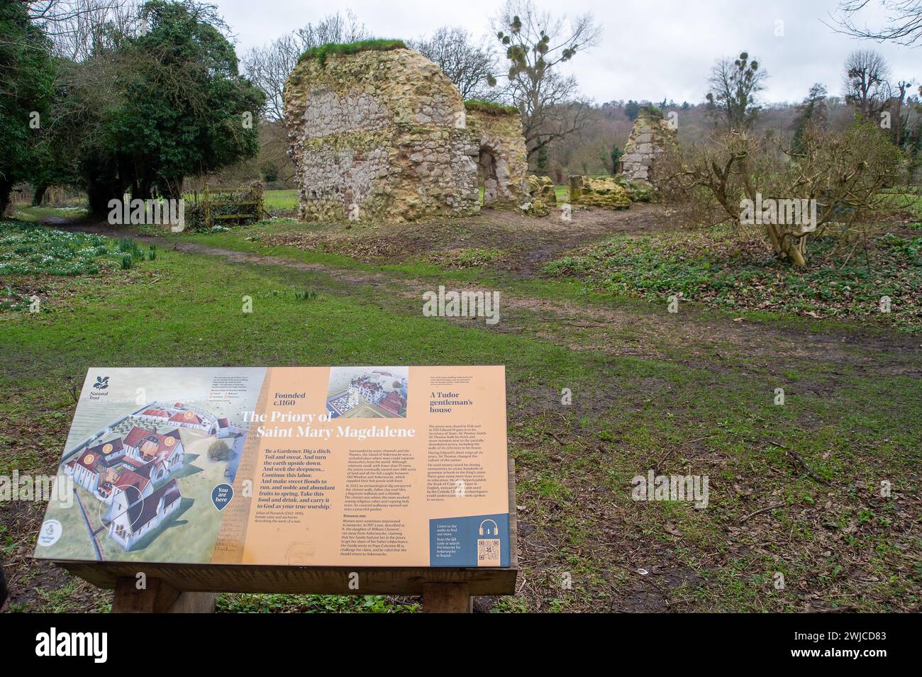 Wraysbury, UK. 14th February, 2024. Snowdrops are carpeting the ...