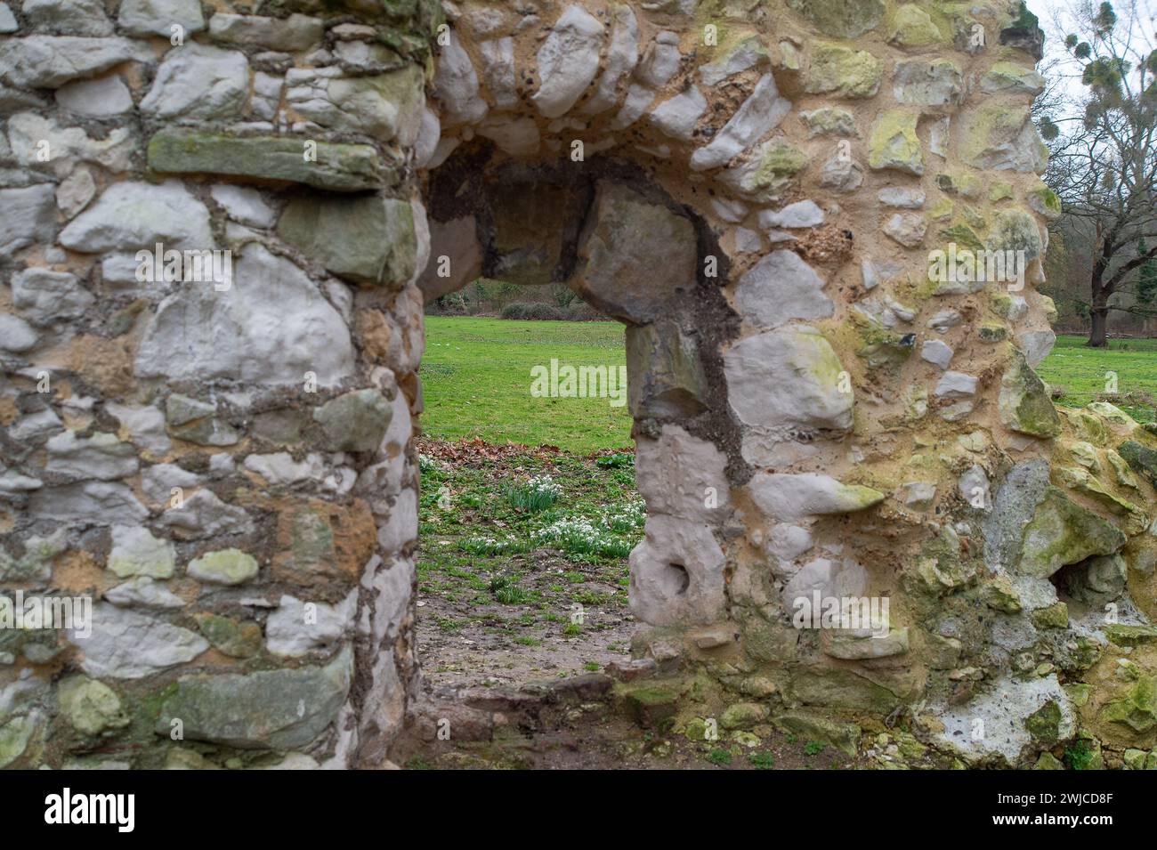 Professor alice roberts hi-res stock photography and images - Alamy