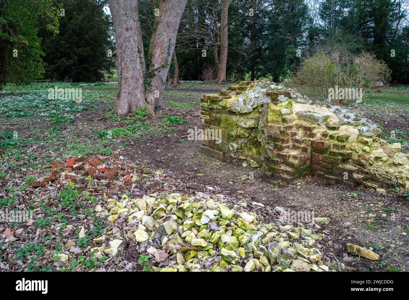 Carta circular hi-res stock photography and images - Alamy