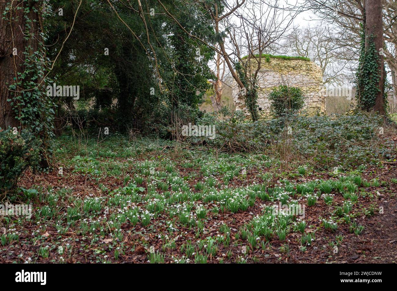 Professor alice roberts hi-res stock photography and images - Alamy