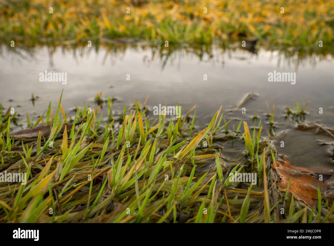 Winter without snow hi-res stock photography and images - Alamy
