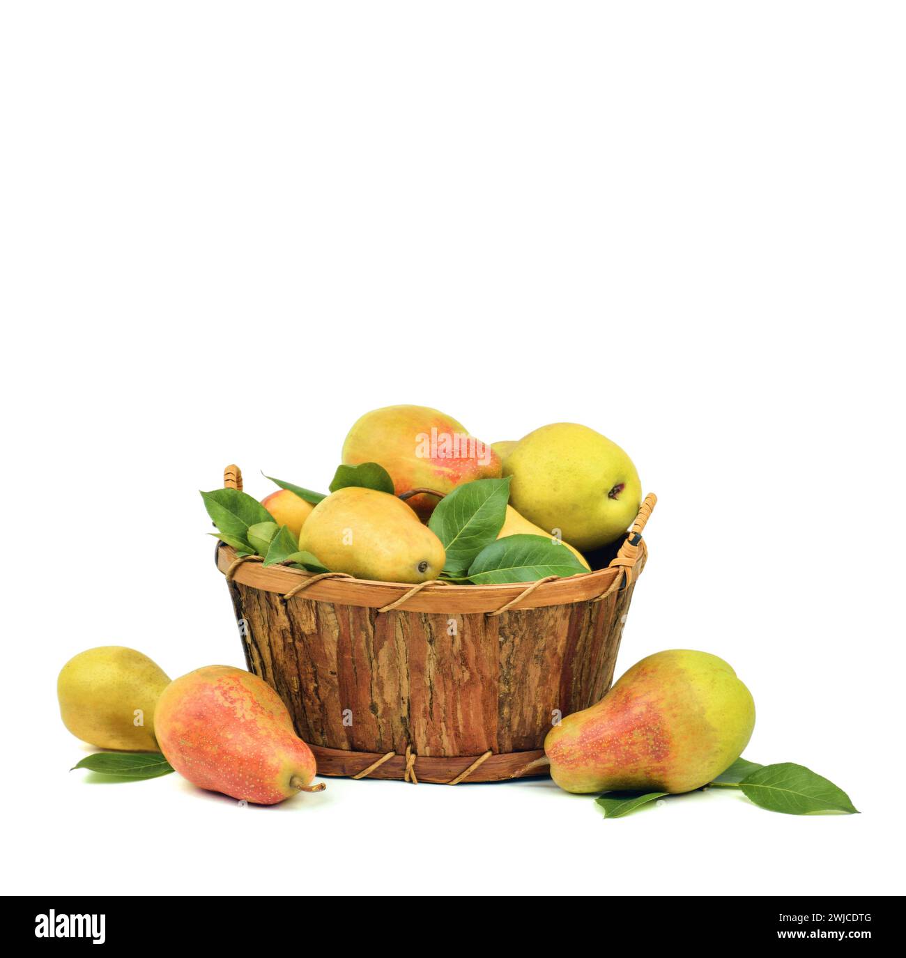 Close-up of the pears in yellow and red. pears is sold in the grocery ...