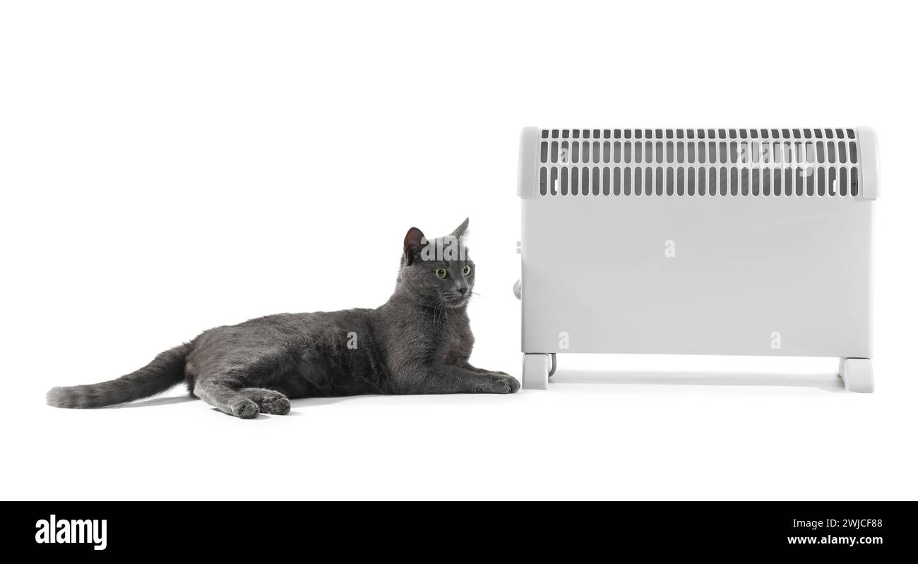 Cute cat with radiator lying on white background Stock Photo - Alamy