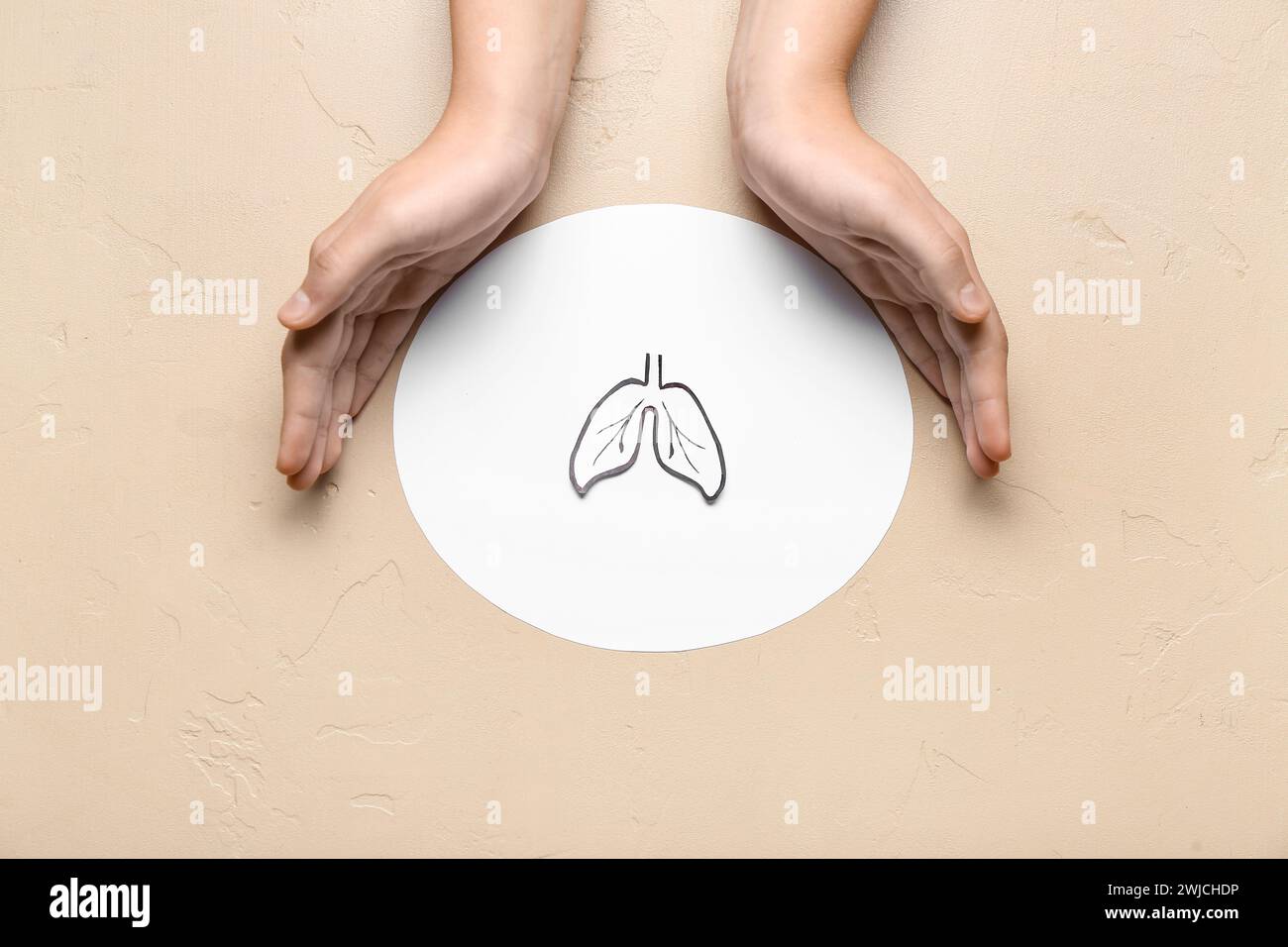 Female hands paper lungs hi-res stock photography and images - Alamy