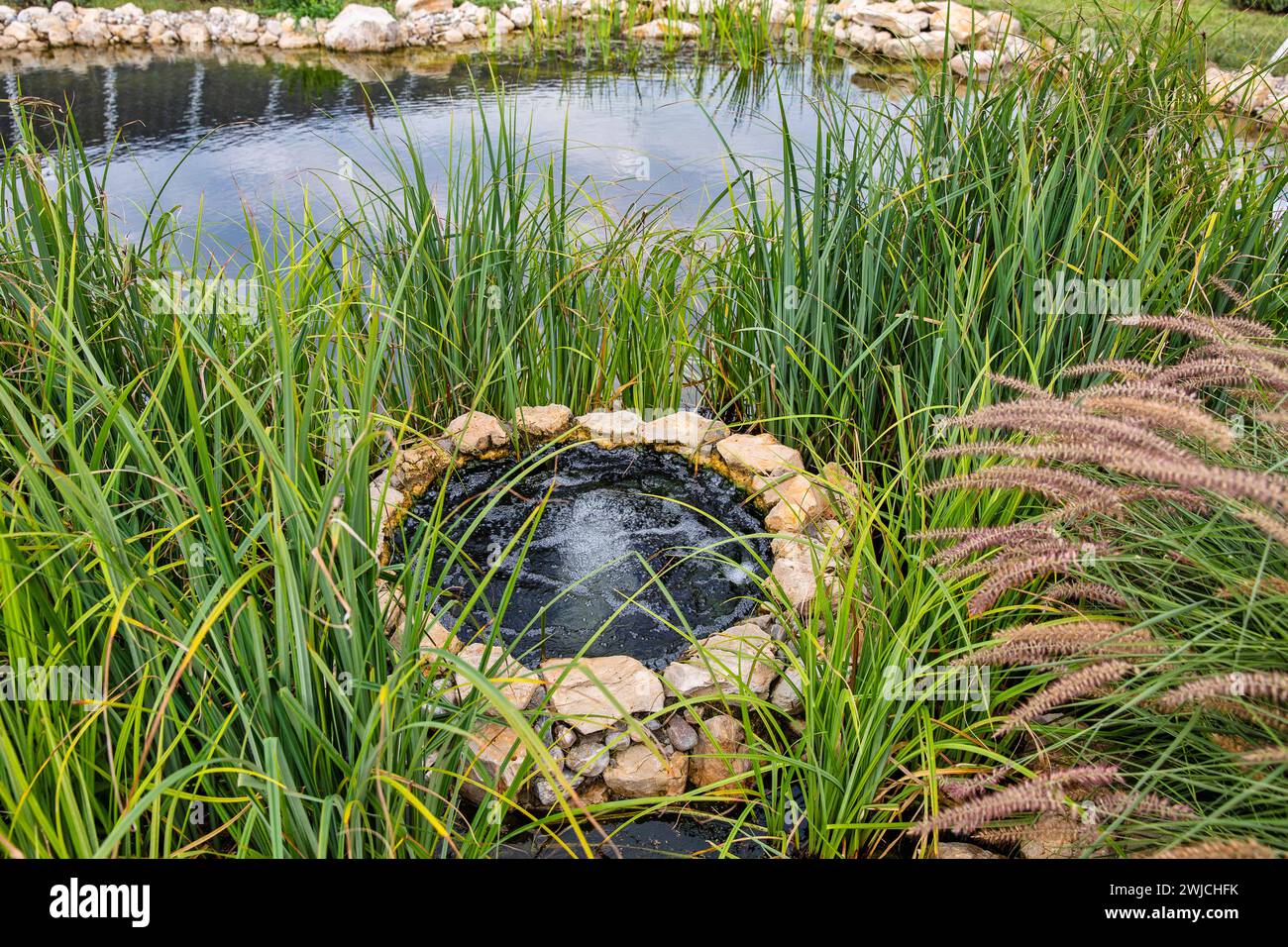 Rural summer landscape with small lake and open water well Stock Photo ...