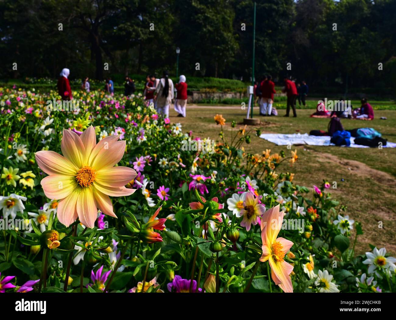 NEW DELHI, INDIA -FEBRUARY 14: Visitors enjoy spring season as flowers ...