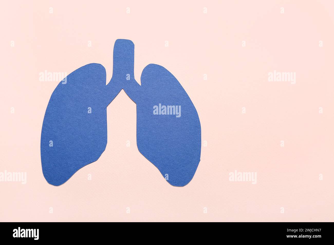 Blue paper lungs on beige background Stock Photo - Alamy