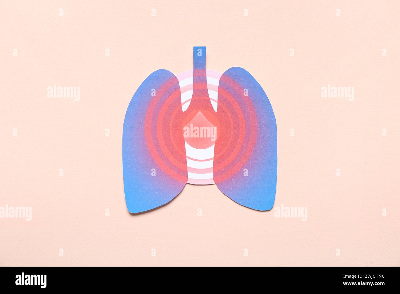 Paper lungs on beige background Stock Photo - Alamy