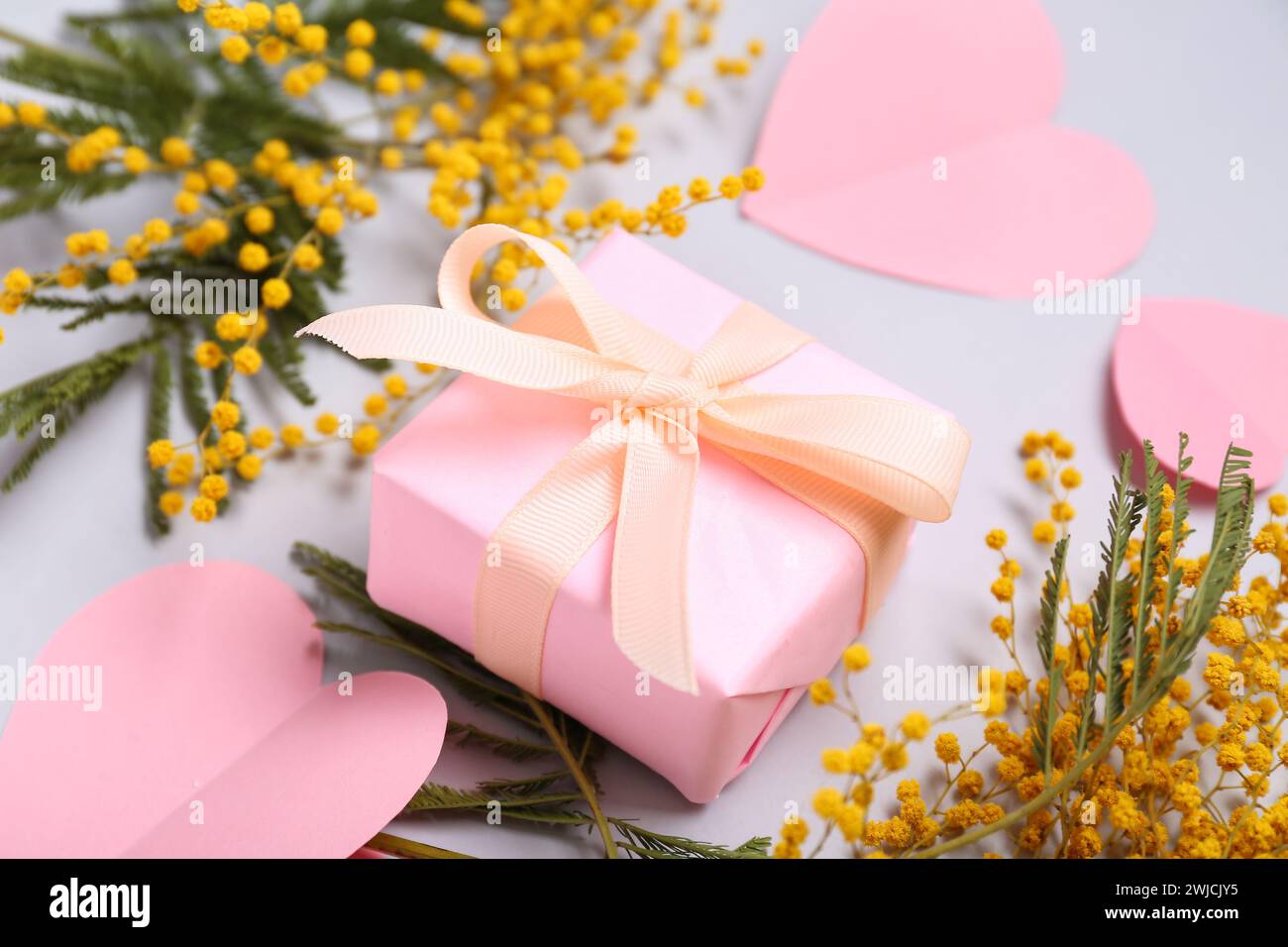 Gift box and mimosa on white background, closeup Stock Photo - Alamy