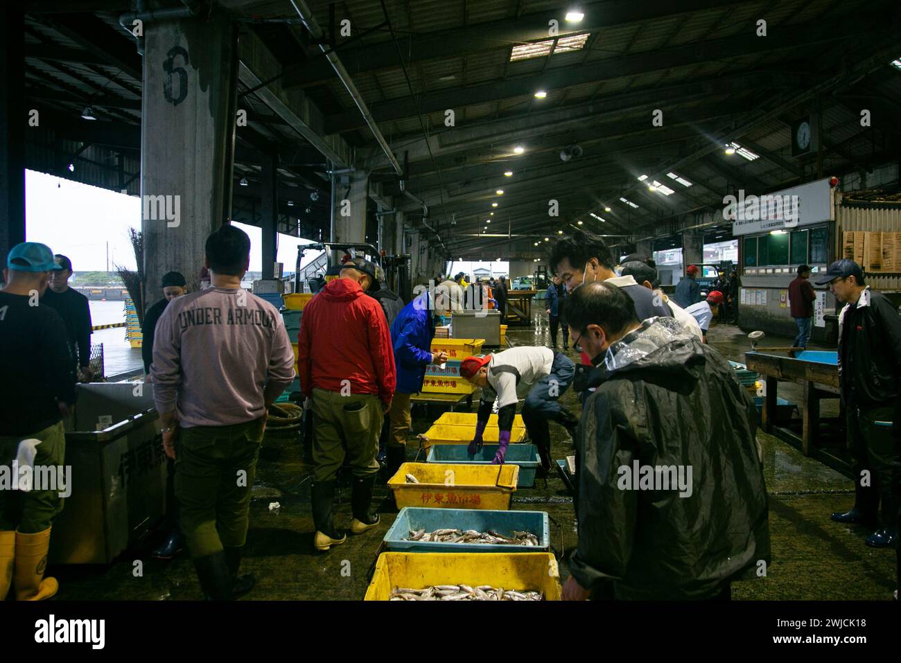 Ito, Japan; 1st October 2023: Fish auction and fishermen working at Ito ...