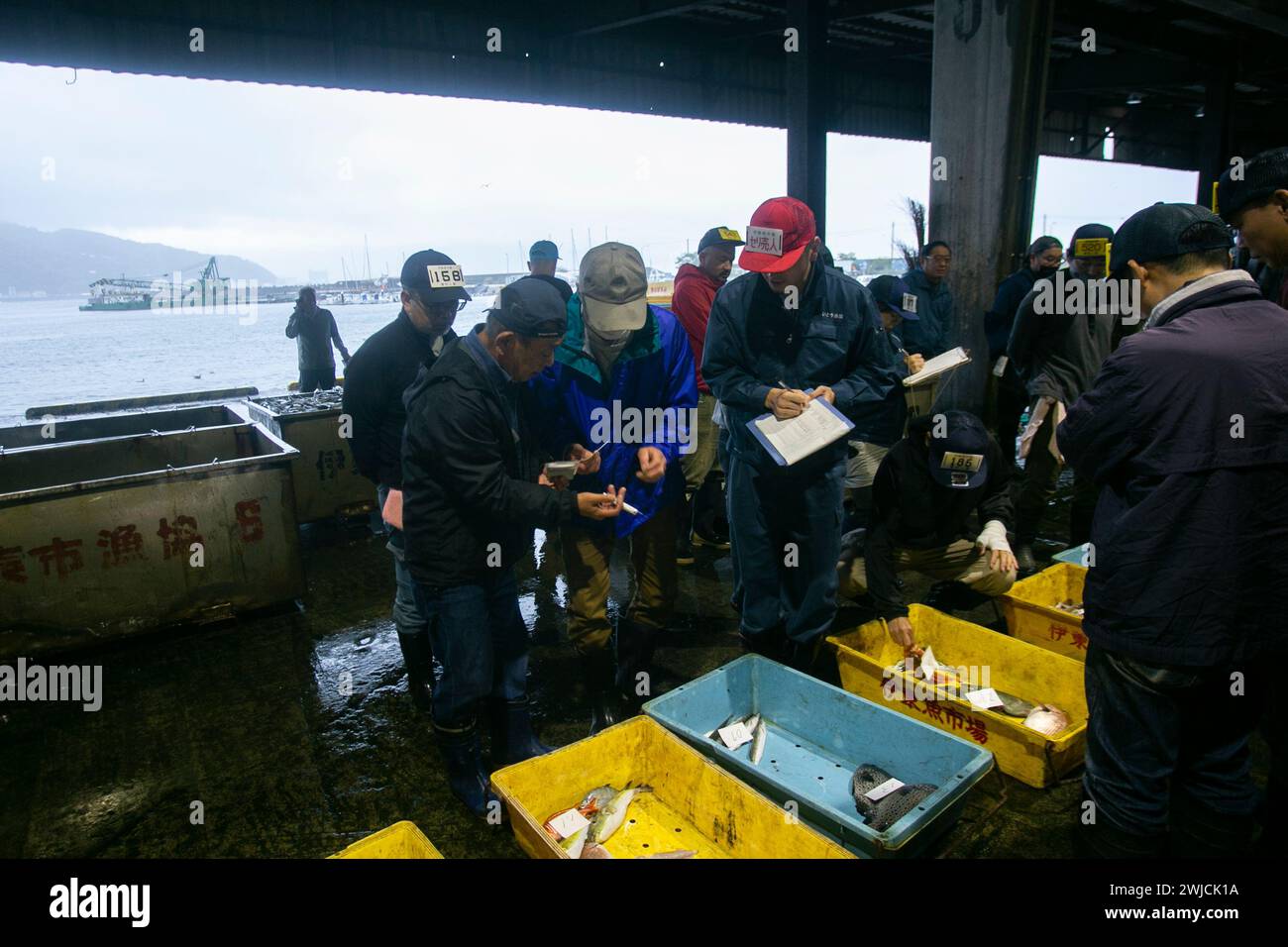 Ito, Japan; 1st October 2023: Fish auction and fishermen working at Ito ...
