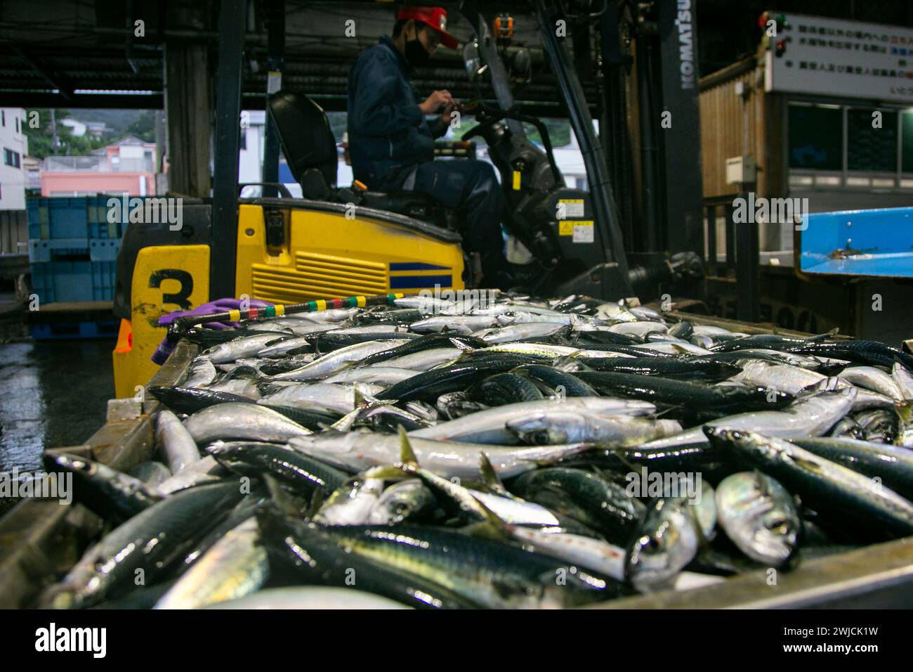 Raw tour 2023 hi-res stock photography and images - Alamy