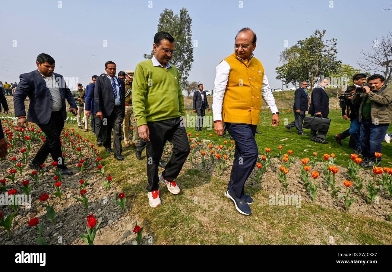 NEW DELHI, INDIA -FEBRUARY 14: Delhi LG Vinai Kumar Saxena, Delhi Chief ...