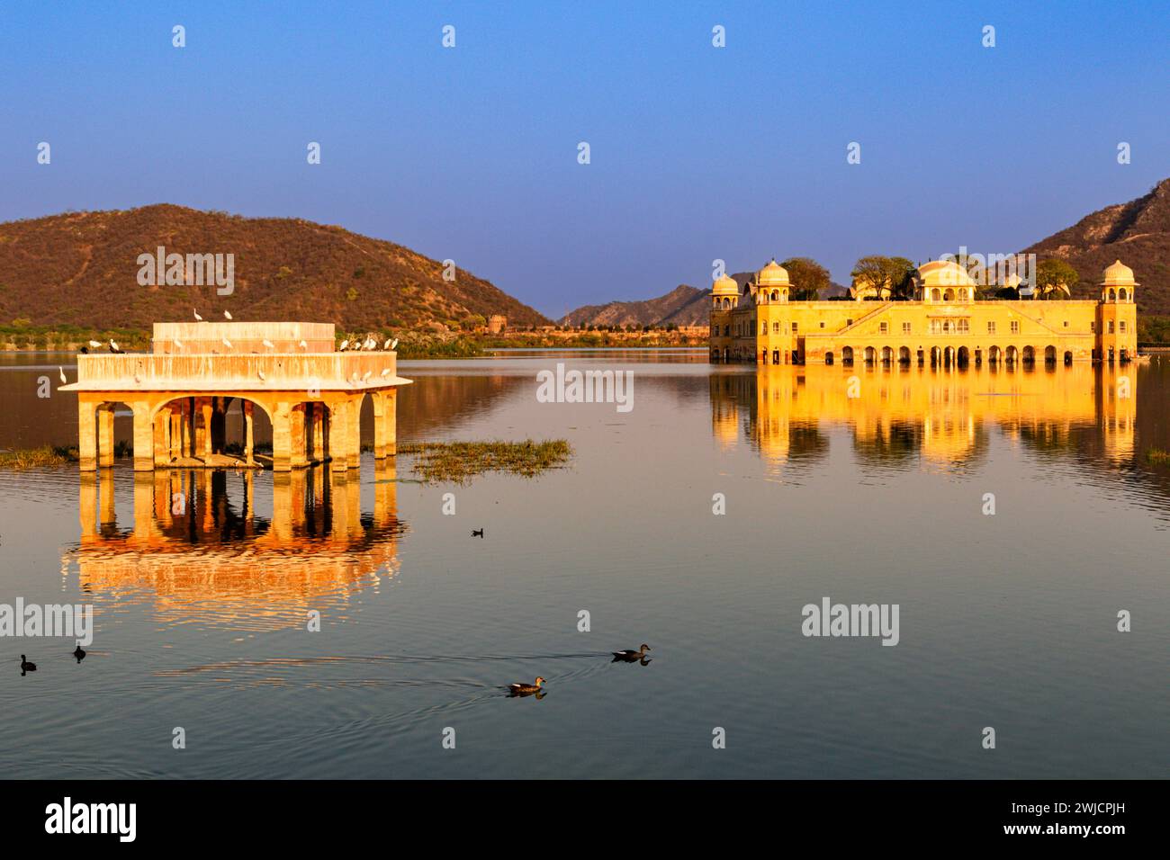Jal Mahal, der Wasserpalast, Jaipur, Rajasthan, Indien Stock Photo - Alamy