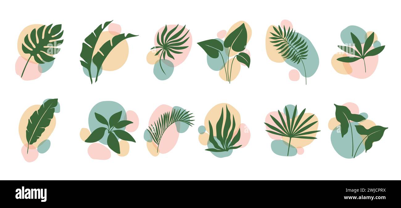 Boho leaf and plants, abstract organic shapes floral art and minimalist ...